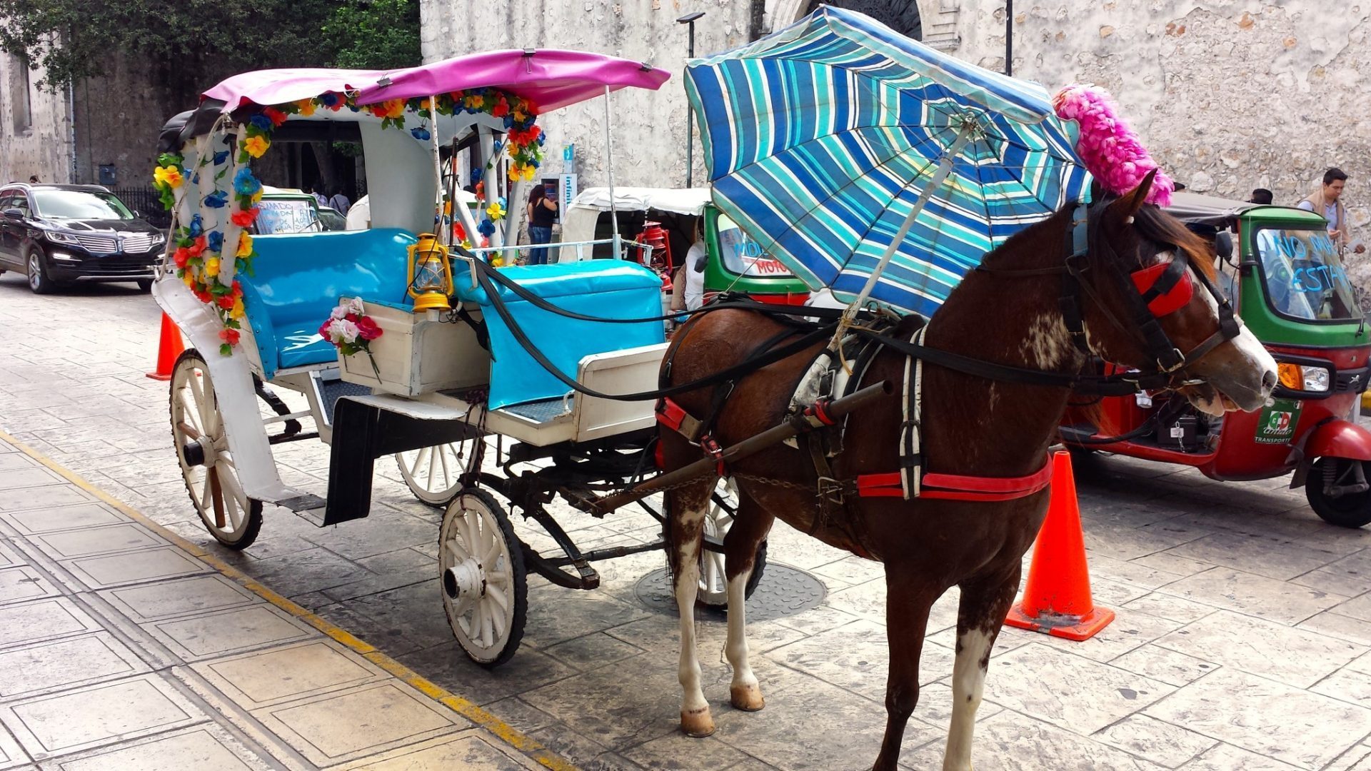 15 Best Things To Do in Merida Mexico: Travel Guide & Tips