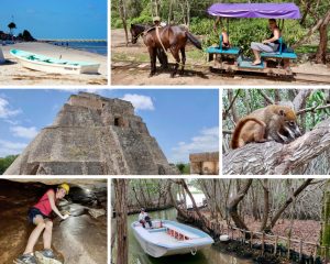 15 Best Things To Do in Merida Mexico: Travel Guide & Tips