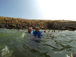 Palomino Island Peru: How To Go Swimming with Sea Lions from Lima