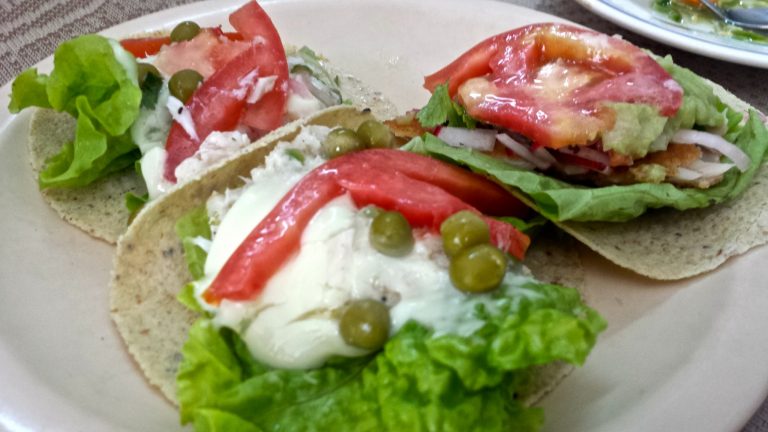 Best Restaurants in Merida Mexico You Need To Try + Best Yucatan Foods