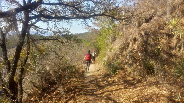 15 Best Things to Do in Oaxaca Mexcio: Travel Guide & Tips