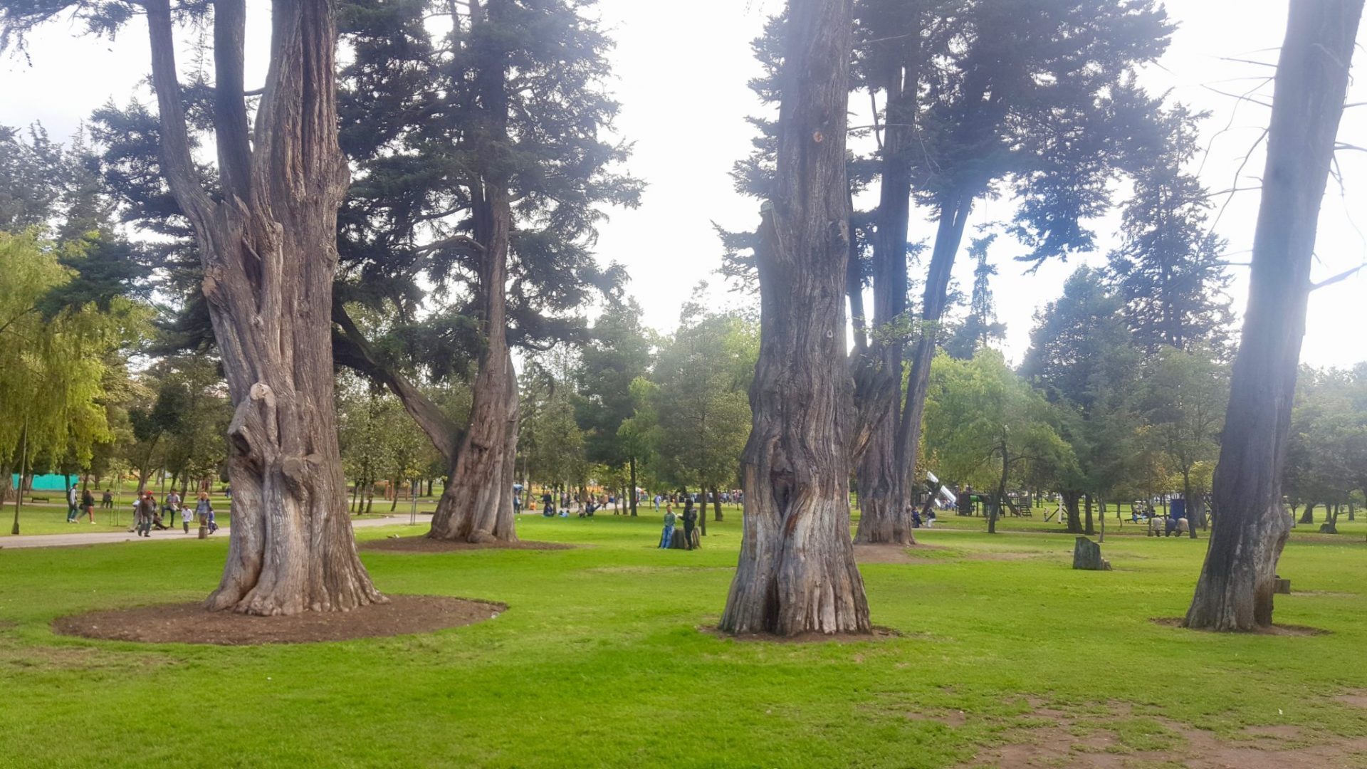 20 Best Things To Do in Quito Ecuador + Travel Tips You Need To Know