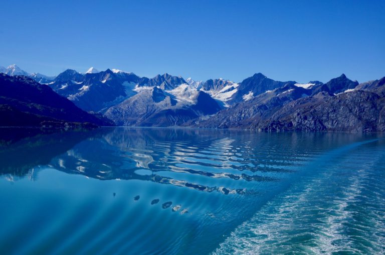 Travel Inspiration: A Voyage into Glacier Bay Reveals Alaska's Raw Beauty