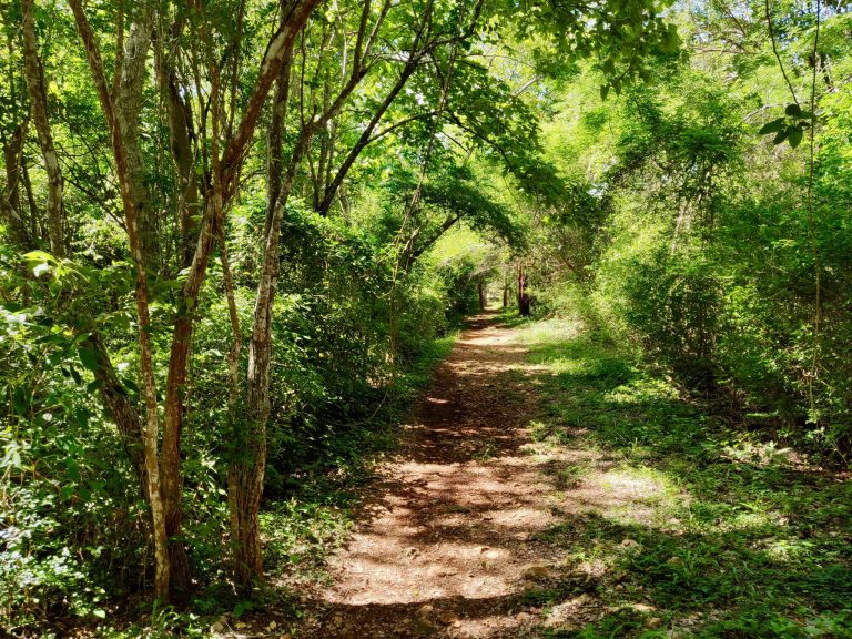 The Ruta Puuc: How To Visit + Everything You Need To Know