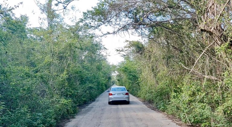 The Ruta Puuc: How To Visit + Everything You Need To Know