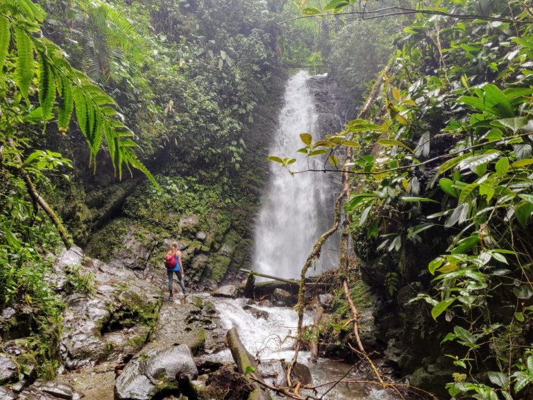 Mindo Ecuador Travel Guide + 15 Best Things to Do in Mindo 🌴