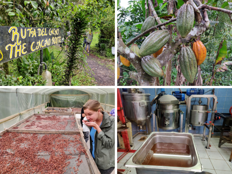 Mindo Ecuador Travel Guide + 15 Best Things to Do in Mindo 🌴
