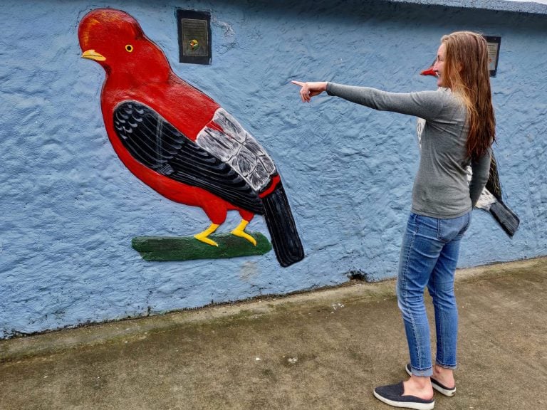 Mindo Ecuador Travel Guide + 15 Best Things to Do in Mindo 🌴