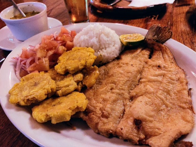 Mindo Ecuador Travel Guide + 15 Best Things to Do in Mindo 🌴