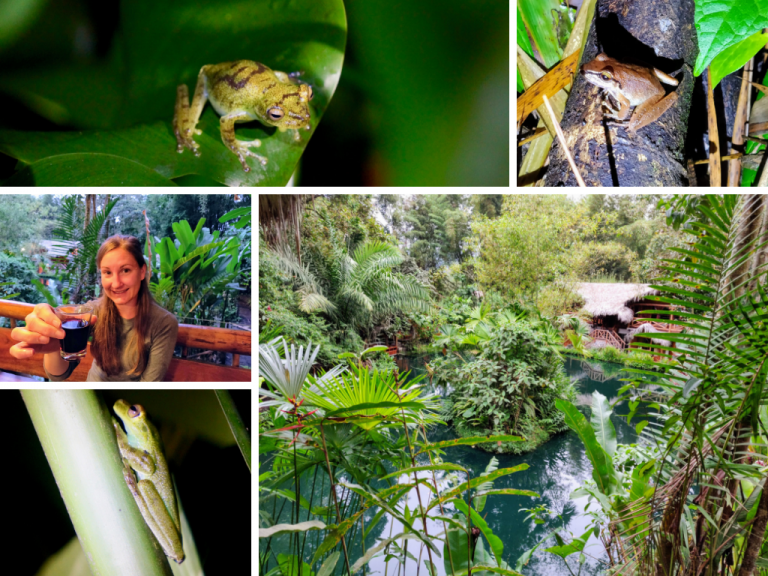 Mindo Ecuador Travel Guide + 15 Best Things to Do in Mindo 🌴