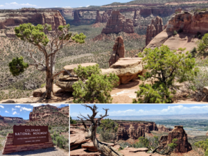 US Road Trip 2021: Best Destinations & Recap | Roaming Around the World